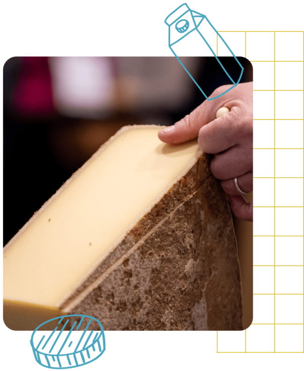 Cap sur le CAP Crémier-Fromager